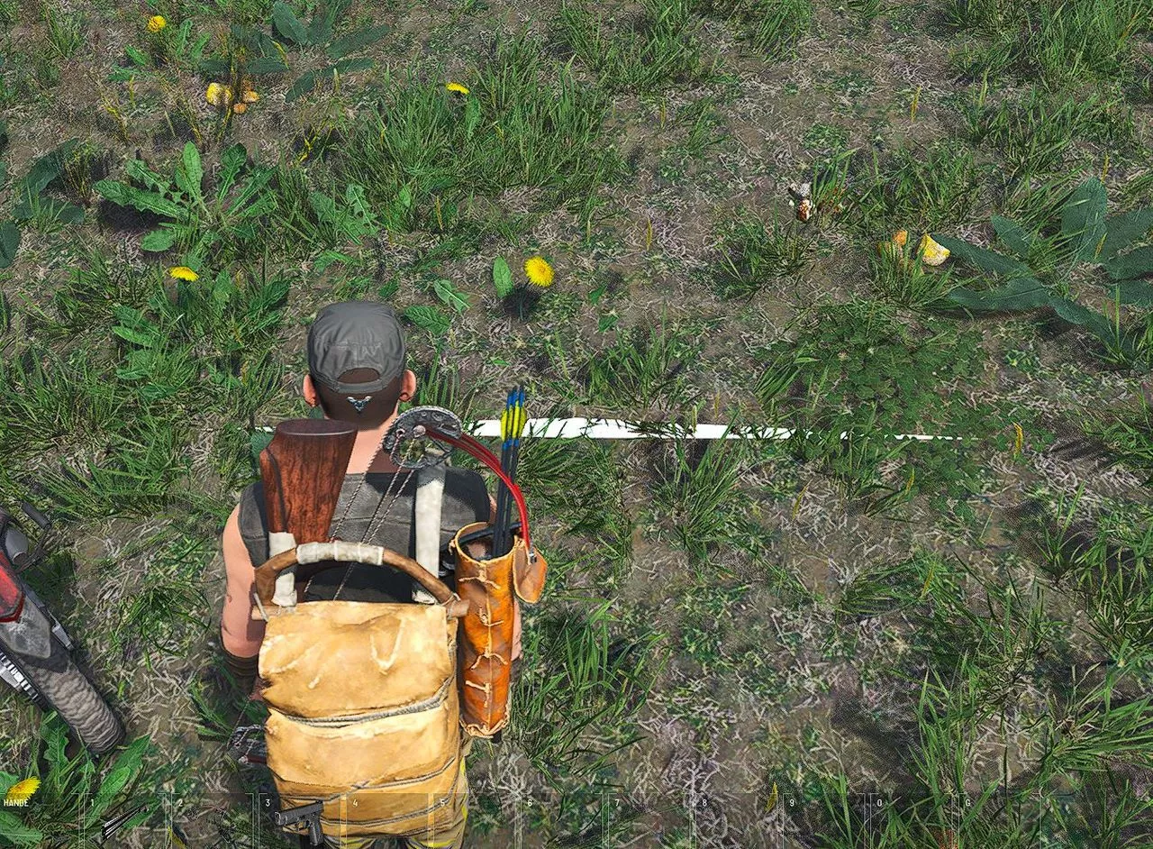 Fehler im Graß bei der City C3 vermute an der sektorgrenze B3 zu C3 ...